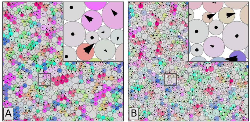 The Ideal Glass and the Ideal Disk Packing in Two Dimensions | Cam ...